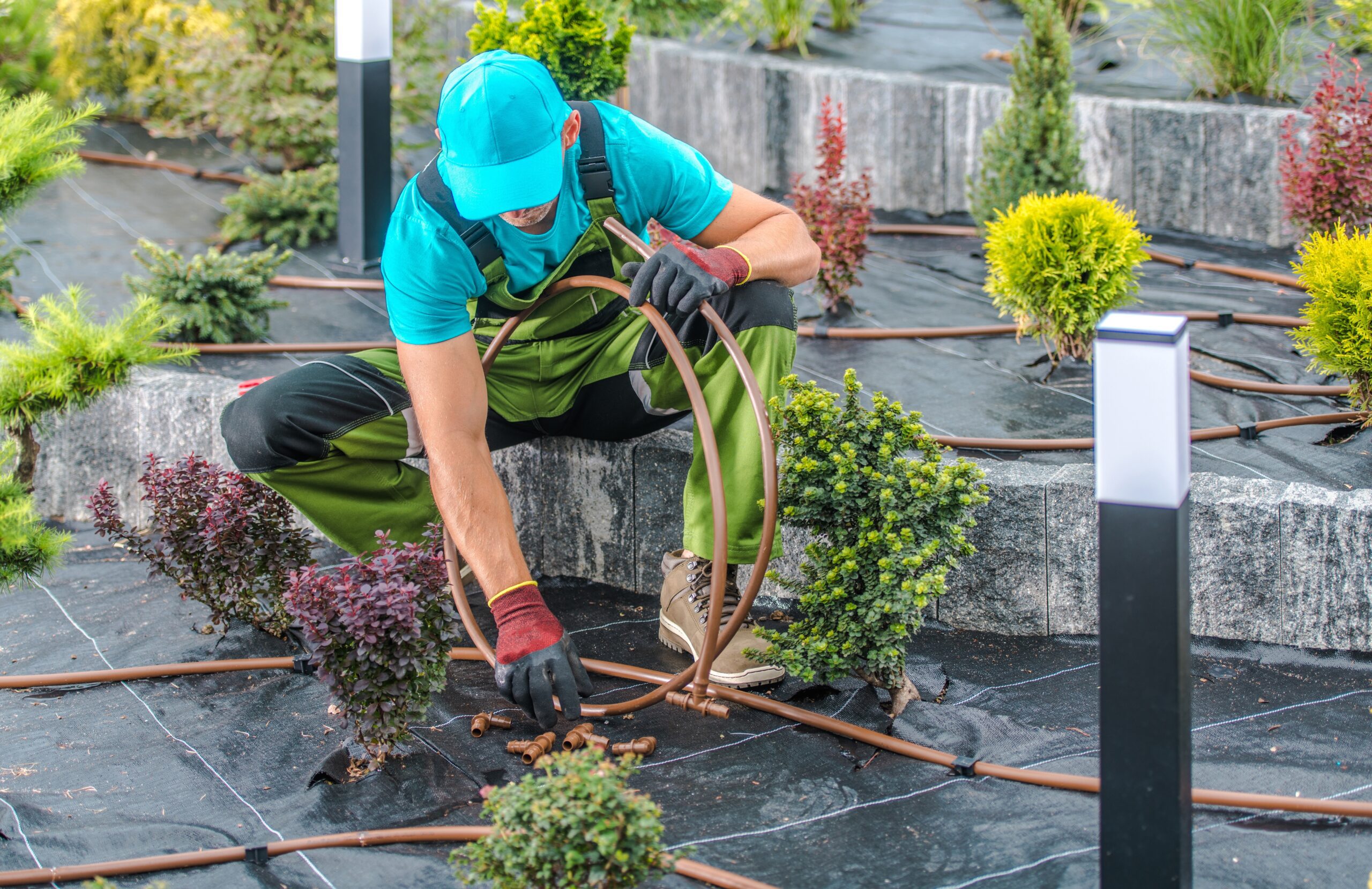 Landscape Maintenance | Chico, CA - LC Landscape Inc.